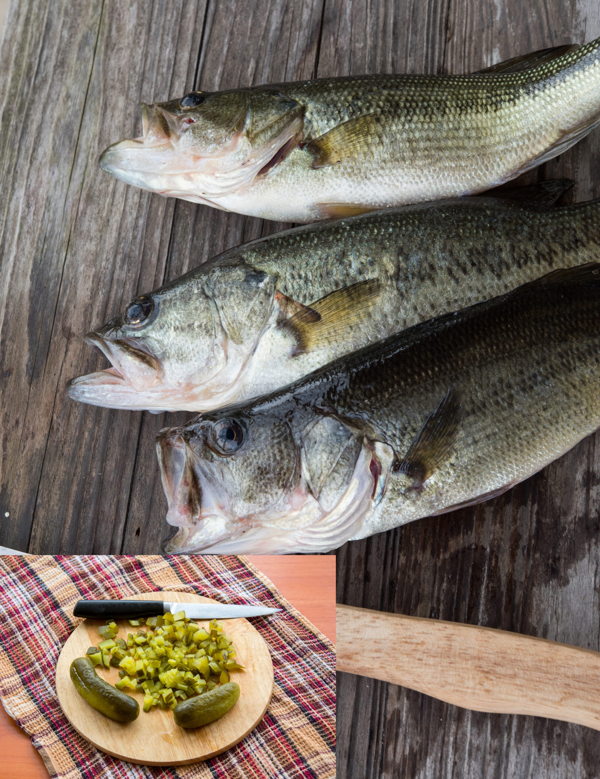 Annie G’s Pickle Fried Bass Fillets – Santee Cooper Life