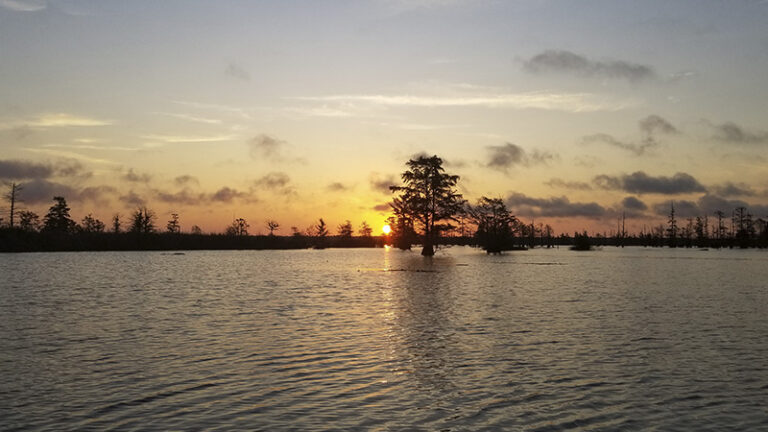A Brief History of the Santee Cooper Lakes – Santee Cooper Life